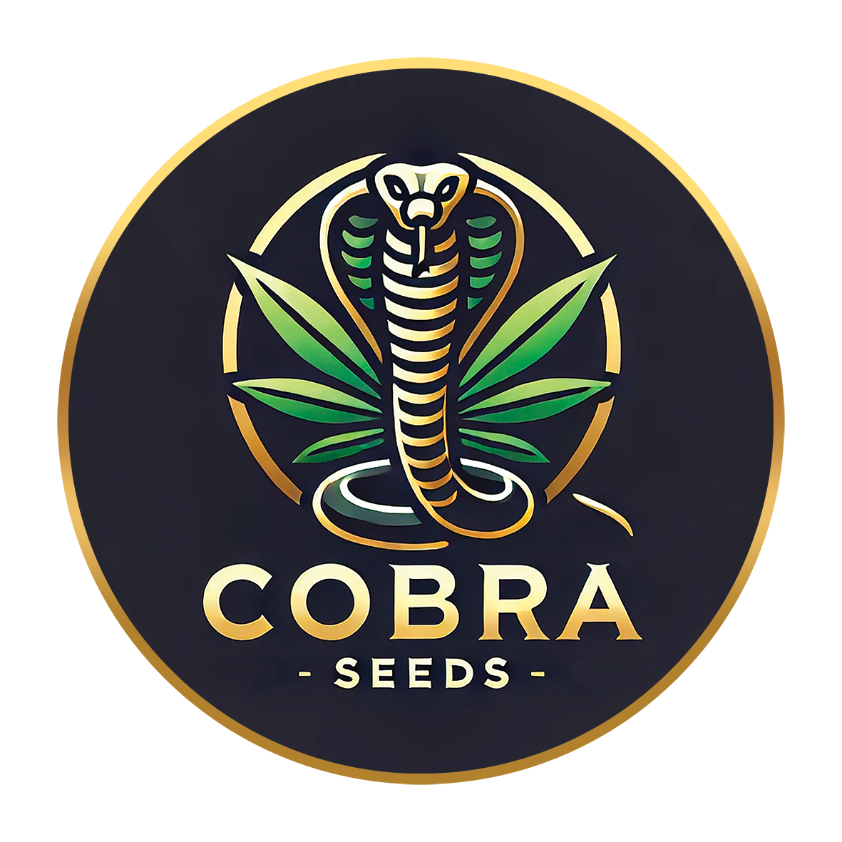 🔥 Cobra Seeds – kvalitní semena konopí za férové ceny!